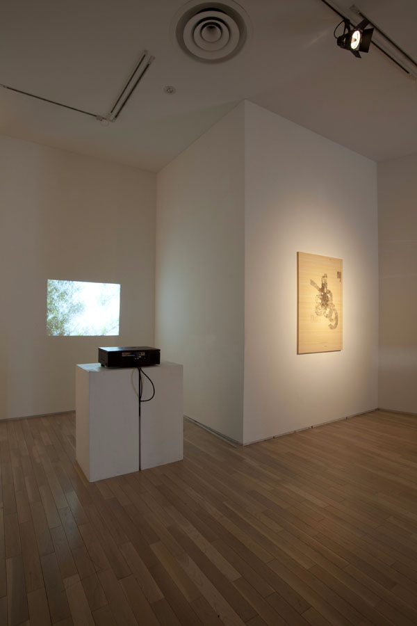 THE COMMON at GYRE Omotesando / view – artless Inc. | news & archives